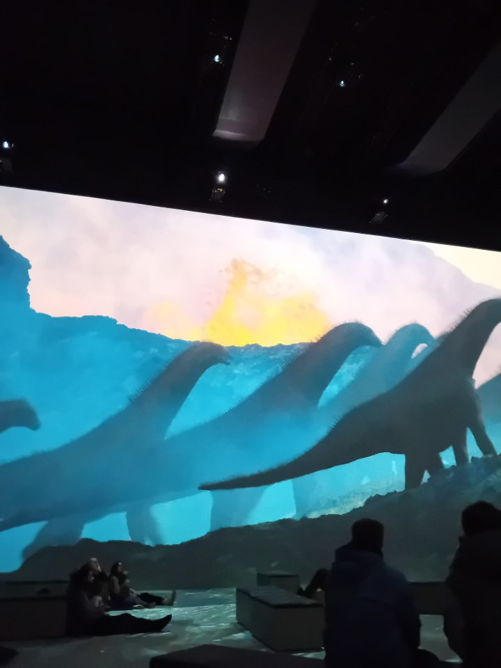 Preparation for Adulthood - Lightroom London - The Tower School